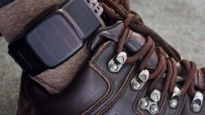 Understanding the Legal Framework of Parole in Australia - Jameson Law